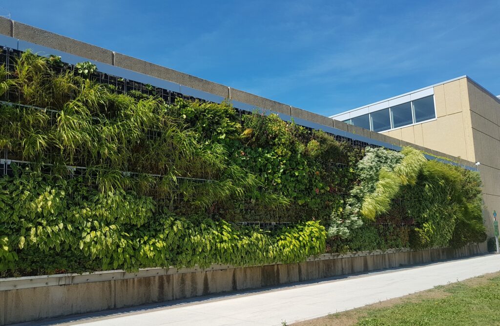 NSCC Exterior Living Wall - Outside Landscape Architects