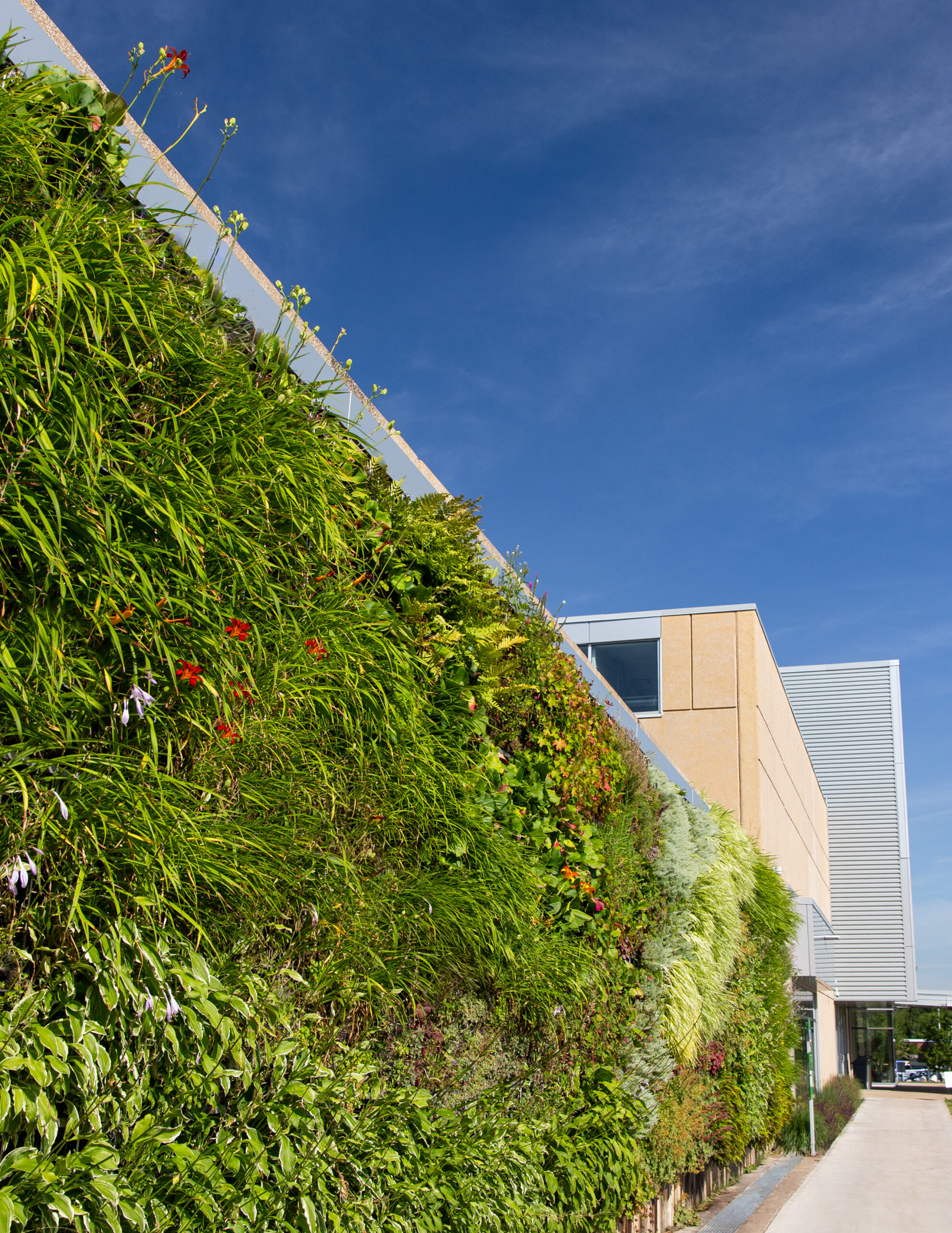 NSCC Exterior Living Wall - Outside Landscape Architects