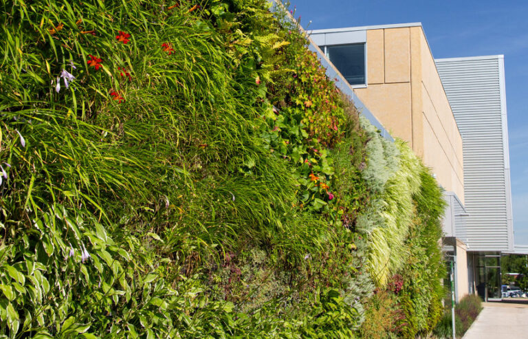 Habitat - living walls & green roofs